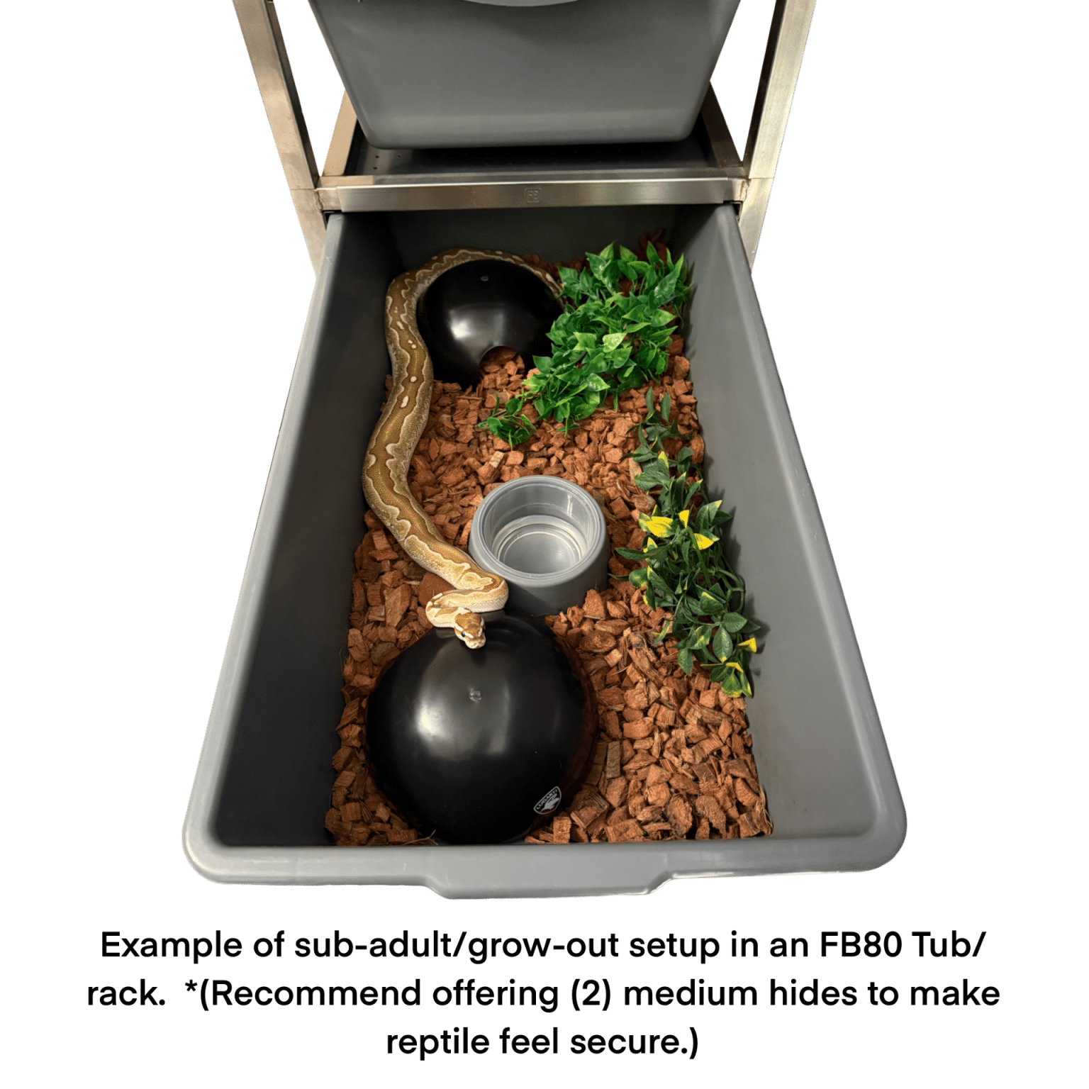 CocoBlox - Premium Coconut Substrate by Freedom Breeder
